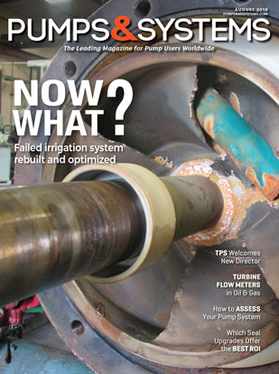 Pumps and Systems - Magazine Issues